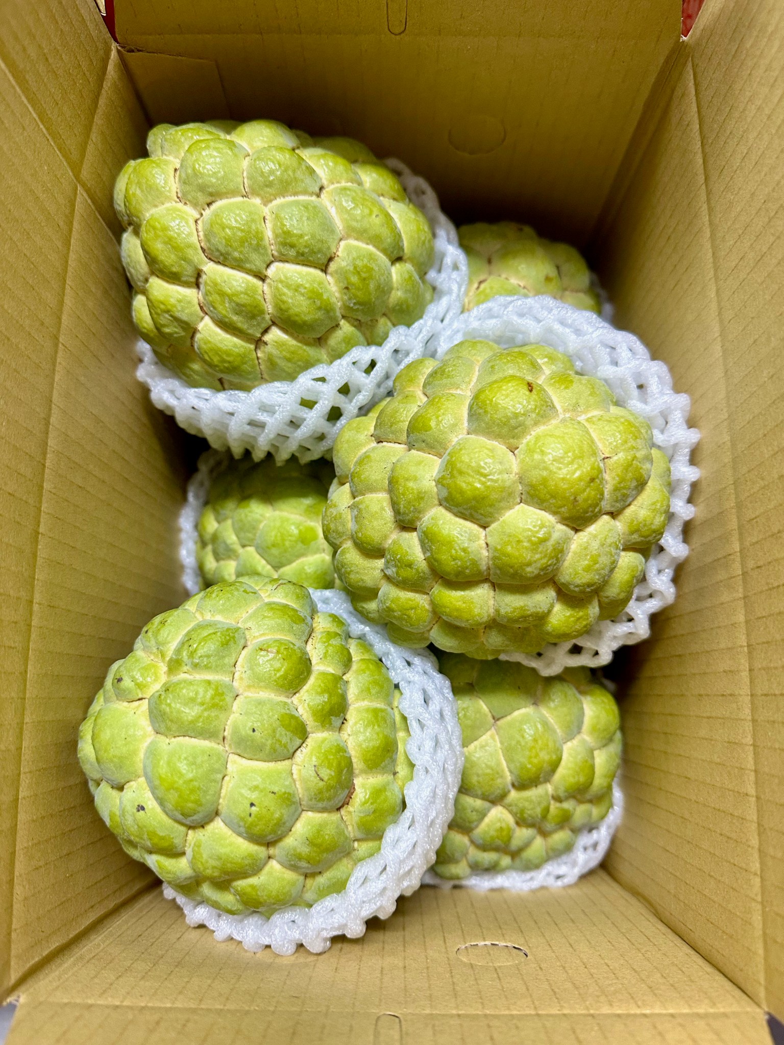 Custard Apple: The World’s Weirdest Fruit? – Noms From Mom